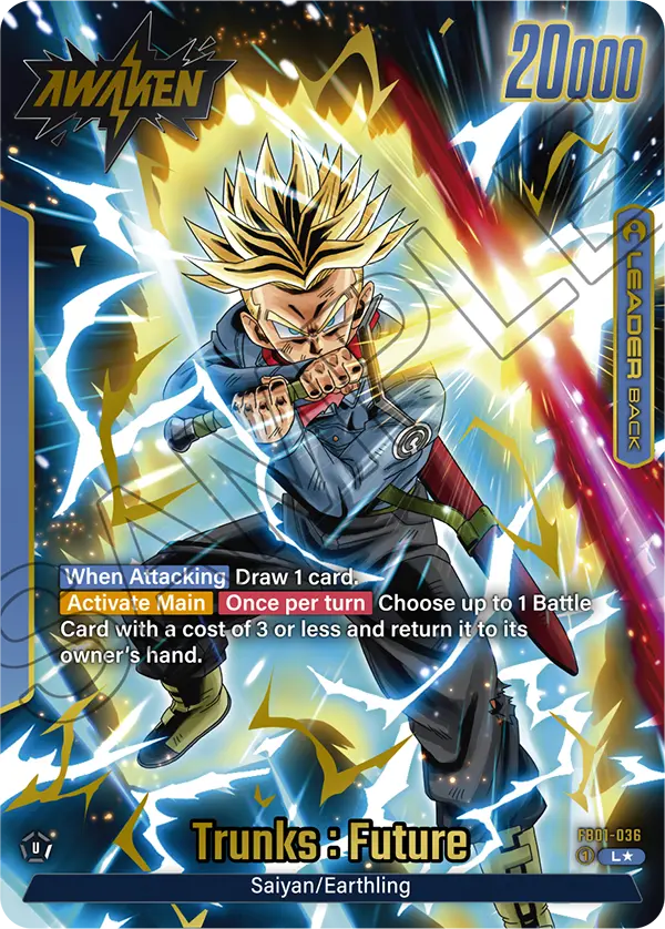 FB01-036 - Trunks : Future - Leader ALT ART – Collectors Company